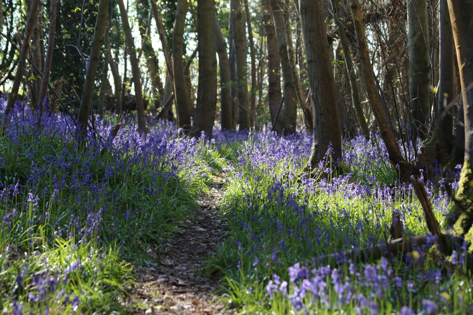 Welcome to Little Park Farm - Little Park Farm
