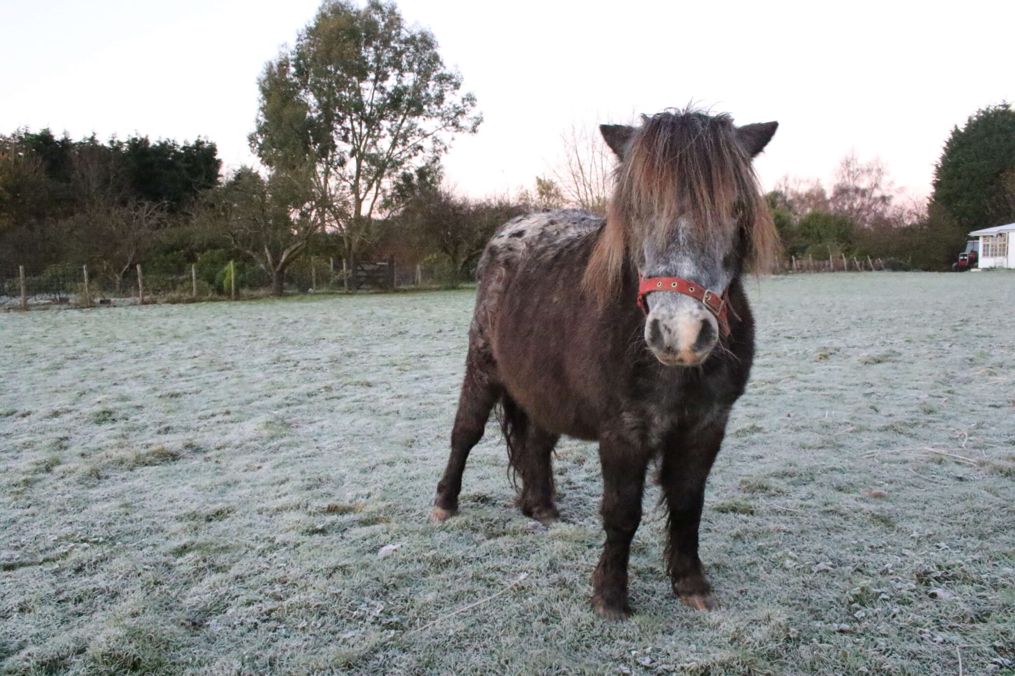 Welcome to Little Park Farm - Little Park Farm